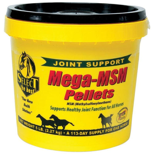 SELECT THE BEST MEGA-MSM PELLETS JOINT SUPPORT - Pennington, NJ ...